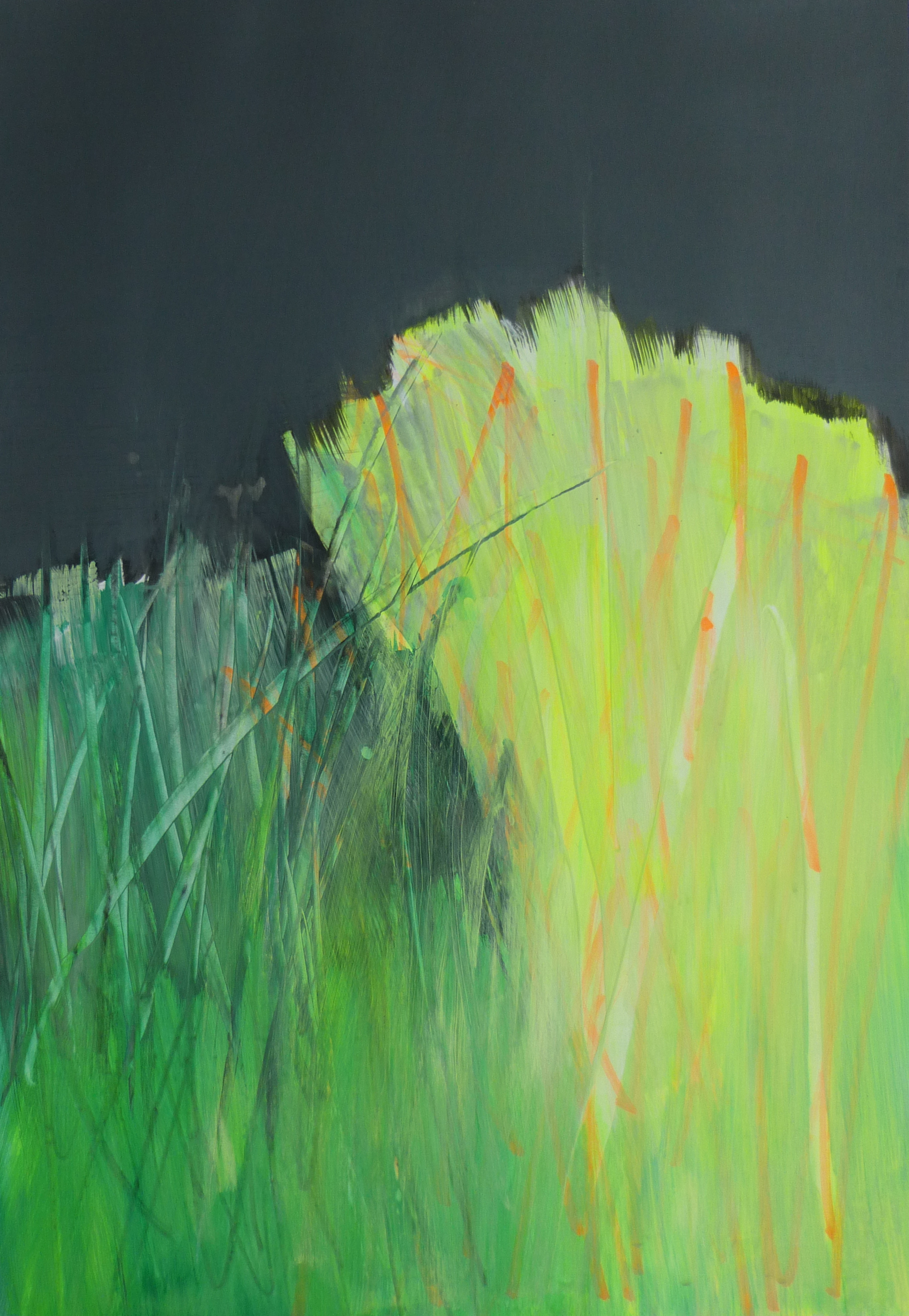 FIELDS – katrin roth