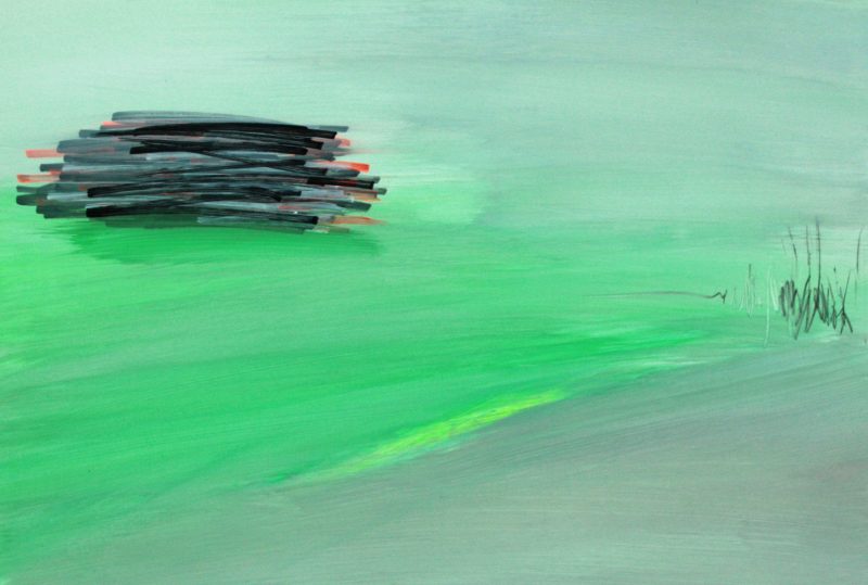 FIELDS – katrin roth